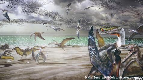 Walking With Dinosaurs Movie Pterosaurs Walking With Dinosaurs'