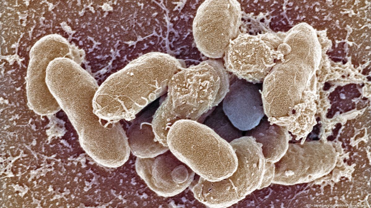 IA: a nova arma na luta contra a resistência a antibióticos – DW – 22 ...