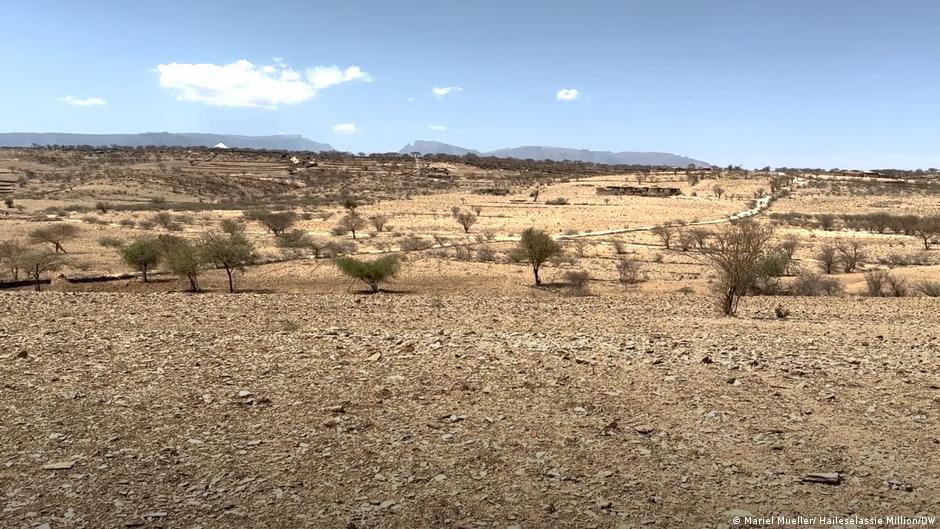 Tigray: Drought causes food insecurity and malnutrition