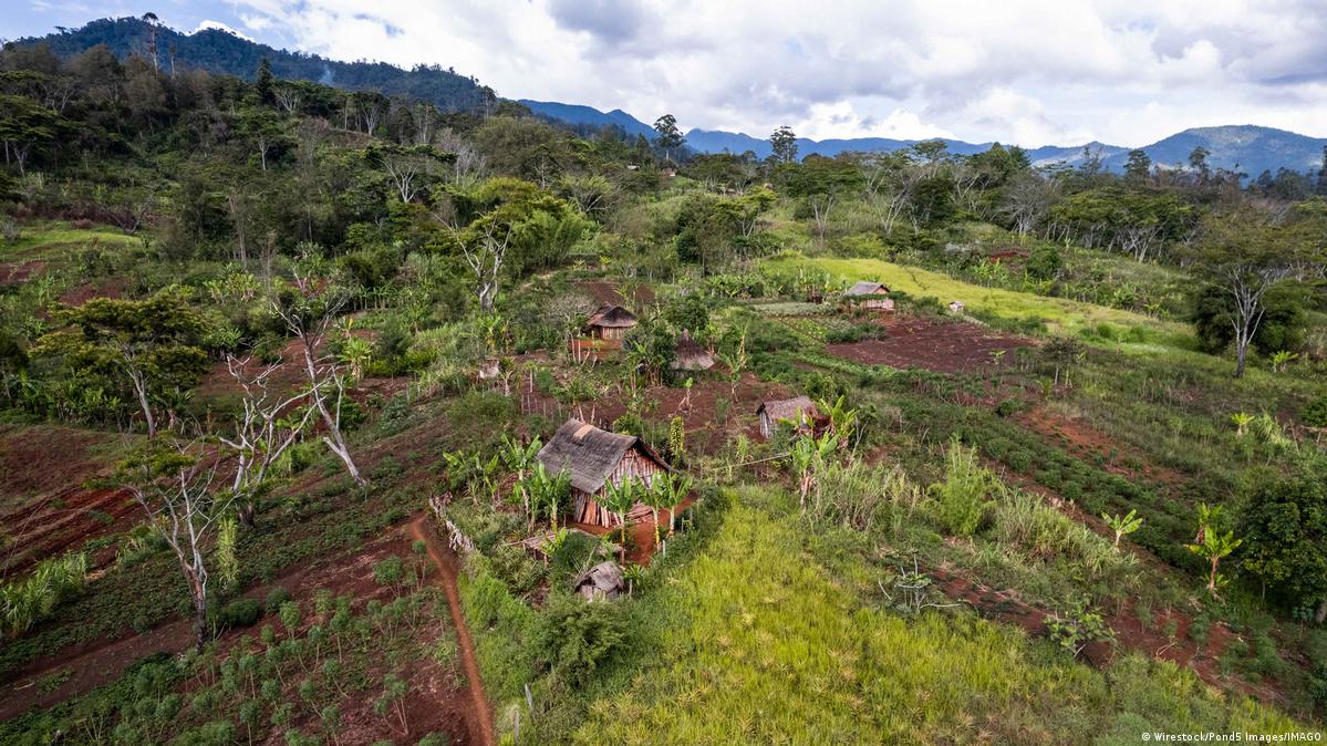 Papua New Guinea: Earthquake kills at least 5