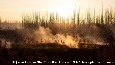 What are zombie fires and how dangerous are they?