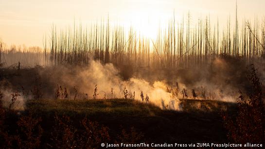 What are zombie fires and how dangerous are they? – DW – 02/29/2024