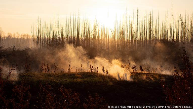 What are zombie fires and how dangerous are they?