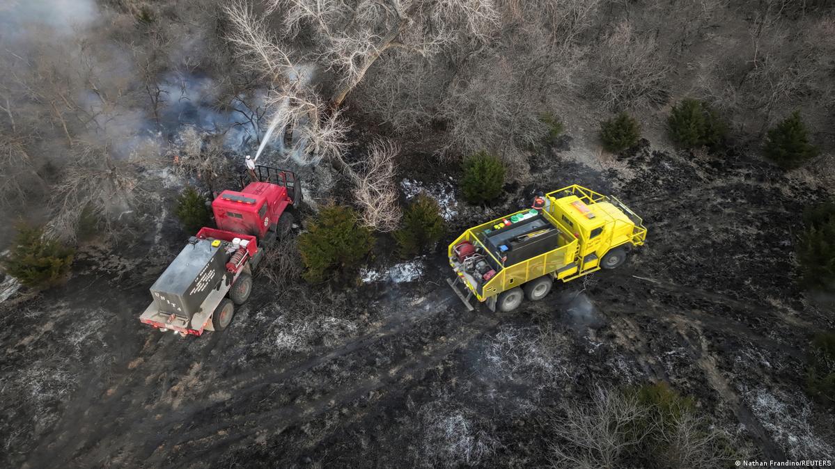 US: Wildfire in Texas largest in state's history – DW – 03/01/2024