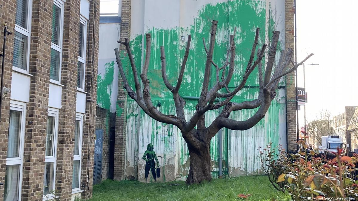 Banksy: New mural showing tree leaves appears in London – DW – 03/18/2024