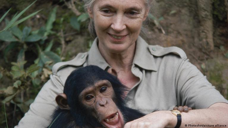 Primatologist Jane Goodall dies, aged 91