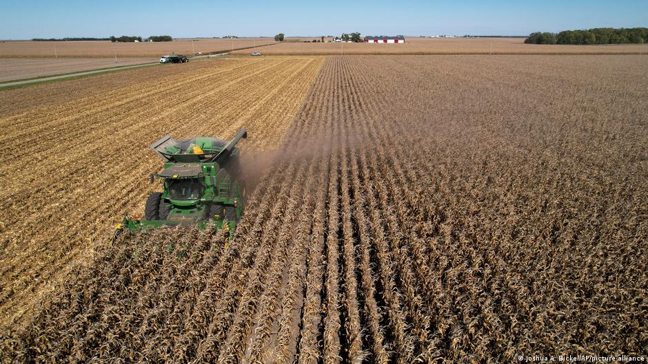 Agroterrorismo: como a IA transforma a biotecnologia em arma – DW – 09 ...