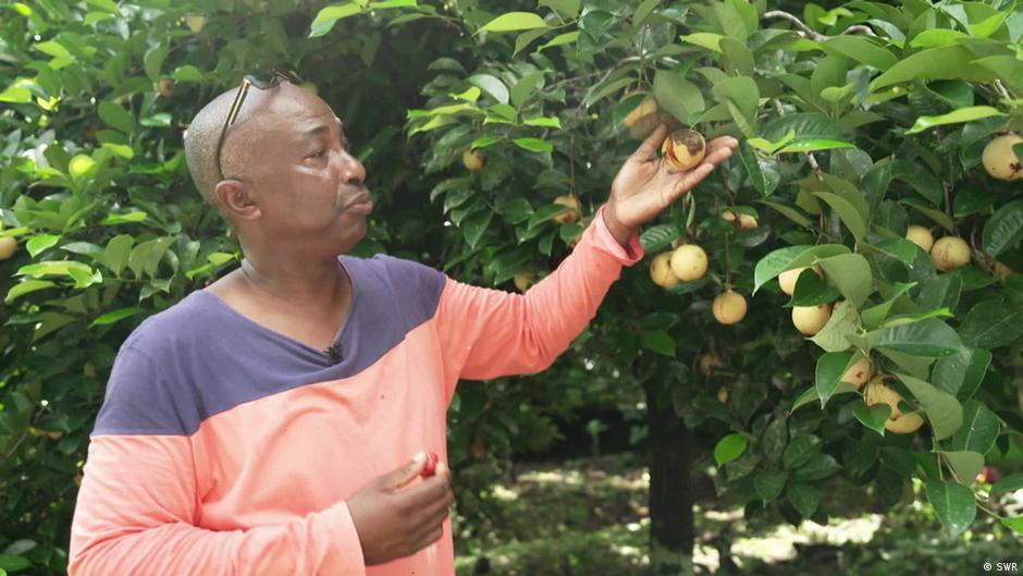 Grenada: Spice island in danger