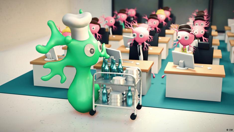 يوم من حياة دماغنا – DW – 2024/5/2