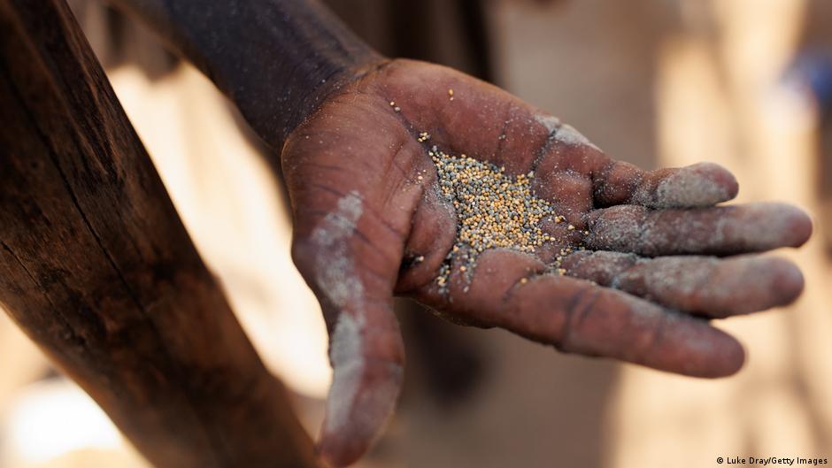 Nearly 282 million people faced hunger in 2023 — report – DW – 04/24/2024