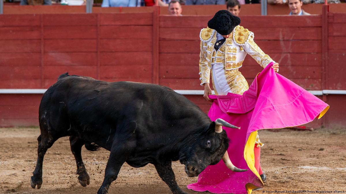 Spain set to scrap top bullfighting prize – DW – 05/03/2024