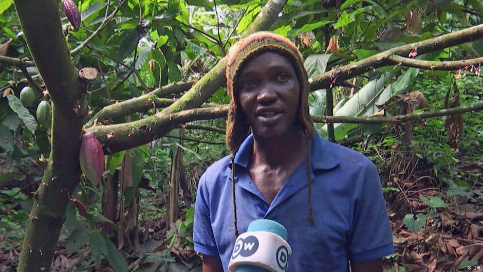 Higher cocoa prices raise standard of living in Cameroon – DW – 05/09/2024