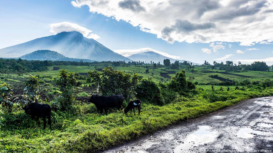 Le parc national des Virunga célèbre ses 100 ans – DW – 23/04/2025