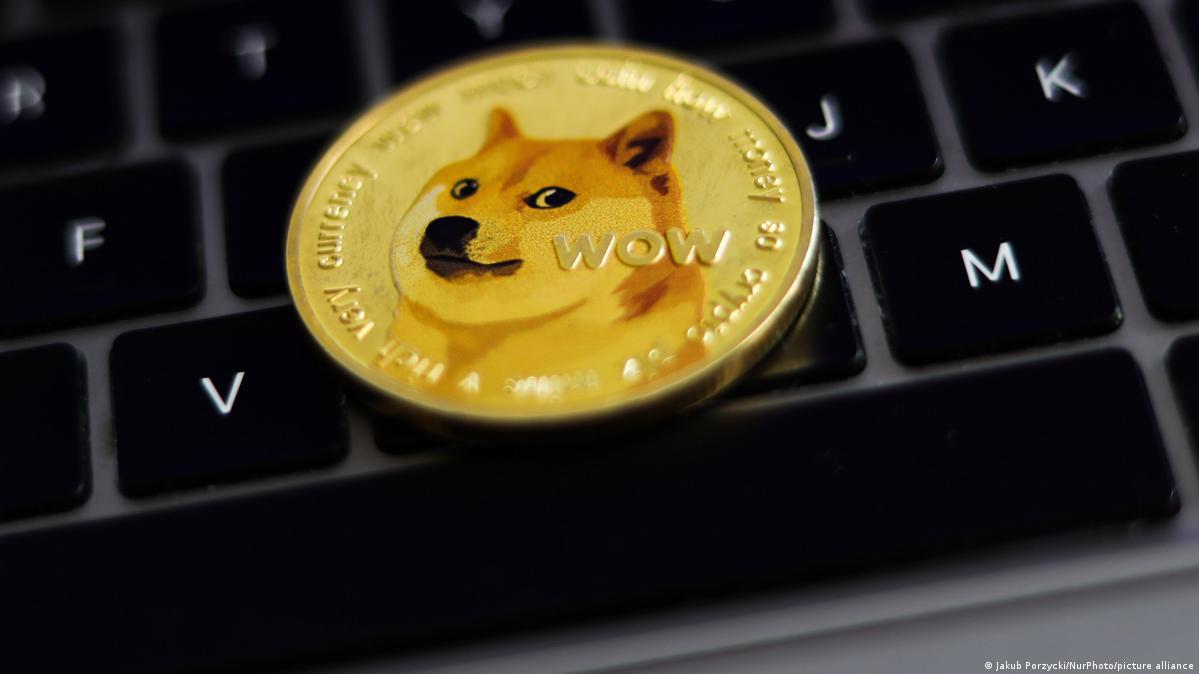 Kabosu, the Shiba Inu who became the face of Dogecoin, dies – DW – 05 ...