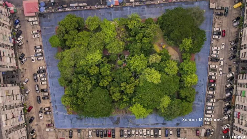 التقليل من حرارة المدن – DW – 2024/6/9