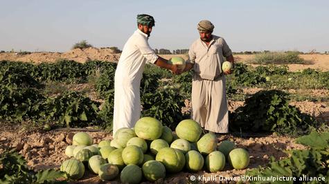 Middle East Farming