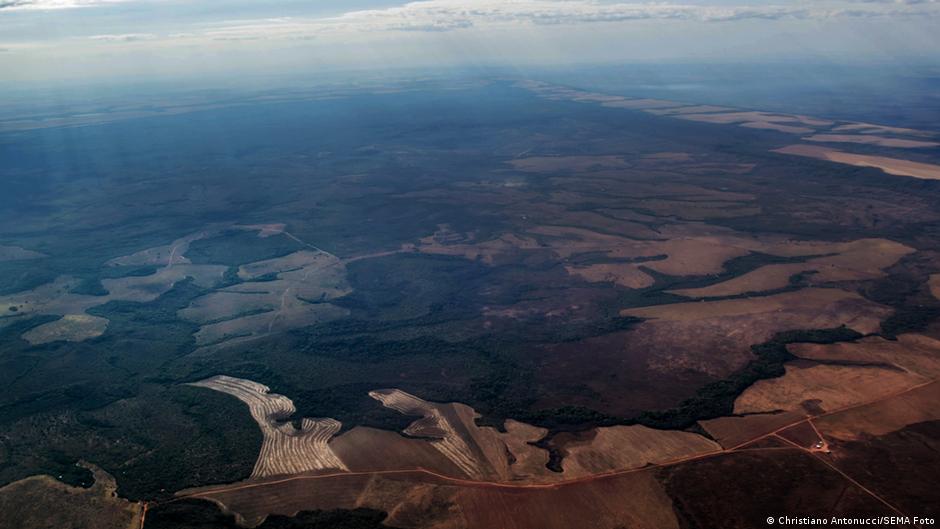 Em Mato Grosso, CAR vira arma para grilar terras indígenas – DW – 03/10 ...