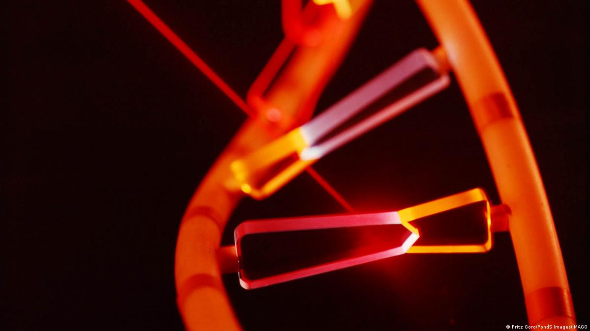 DNA (deoxyribonucleic acid)