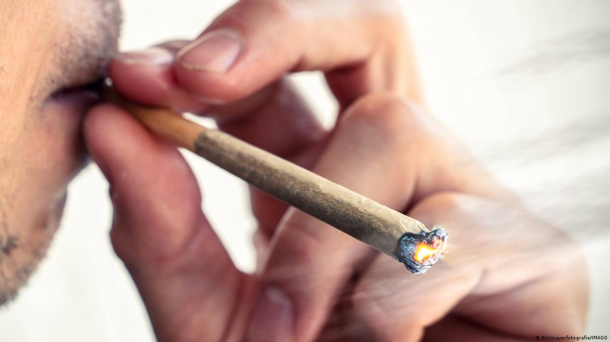 Germany's budding cannabis industry set to flourish – DW – 06/15/2024