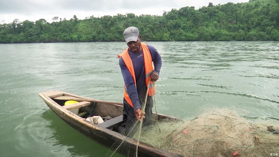 Unregulated fishing threatens livelihoods in Cameroon – DW – 06/20/2024