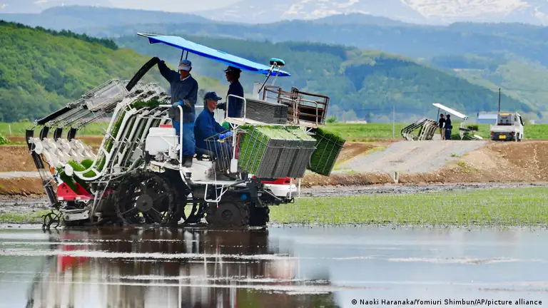 Japan Agriculture Tech Savvy Farmers A New Hope For Japan's Shrinking