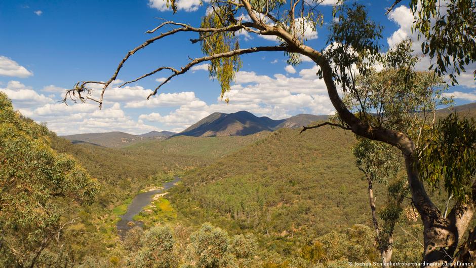 Indigenous ritual practiced for 12,000 years, study shows – DW – 07/01/2024