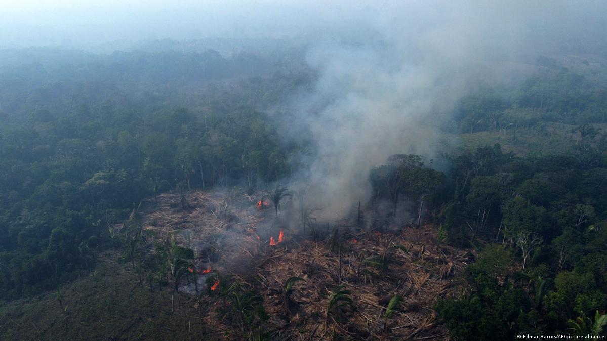 Brazil's Amazon sees worst 6 months of wildfires in 20 years – DW – 07 ...
