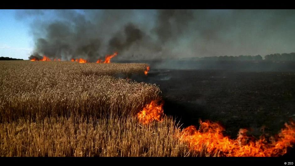 The War Over Wheat – DW – 07/12/2024