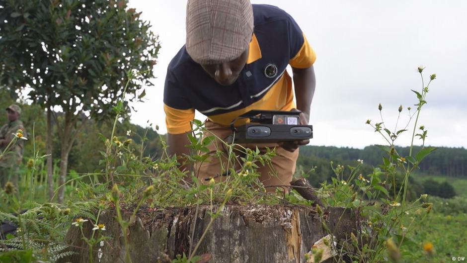 Artificial intelligence boosts Kenya's forestry conservation – DW – 07 ...
