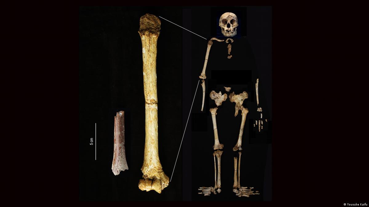 Ancient 'hobbits' even smaller than originally thought – DW – 08/06/2024