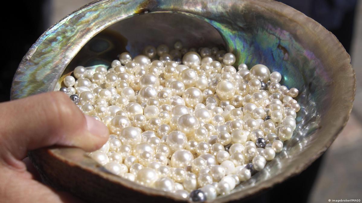 A cultural history of pearls – DW – 08/20/2024