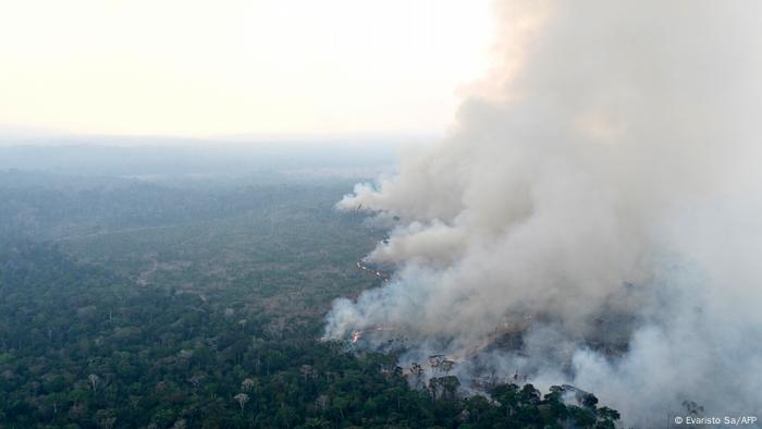 Fogo na Amazônia destruiu 10 vezes mais que desmatamento - ISTOÉ ... Fogo na Amazônia destruiu 10 vezes mais que desmatamento - ISTOÉ ...