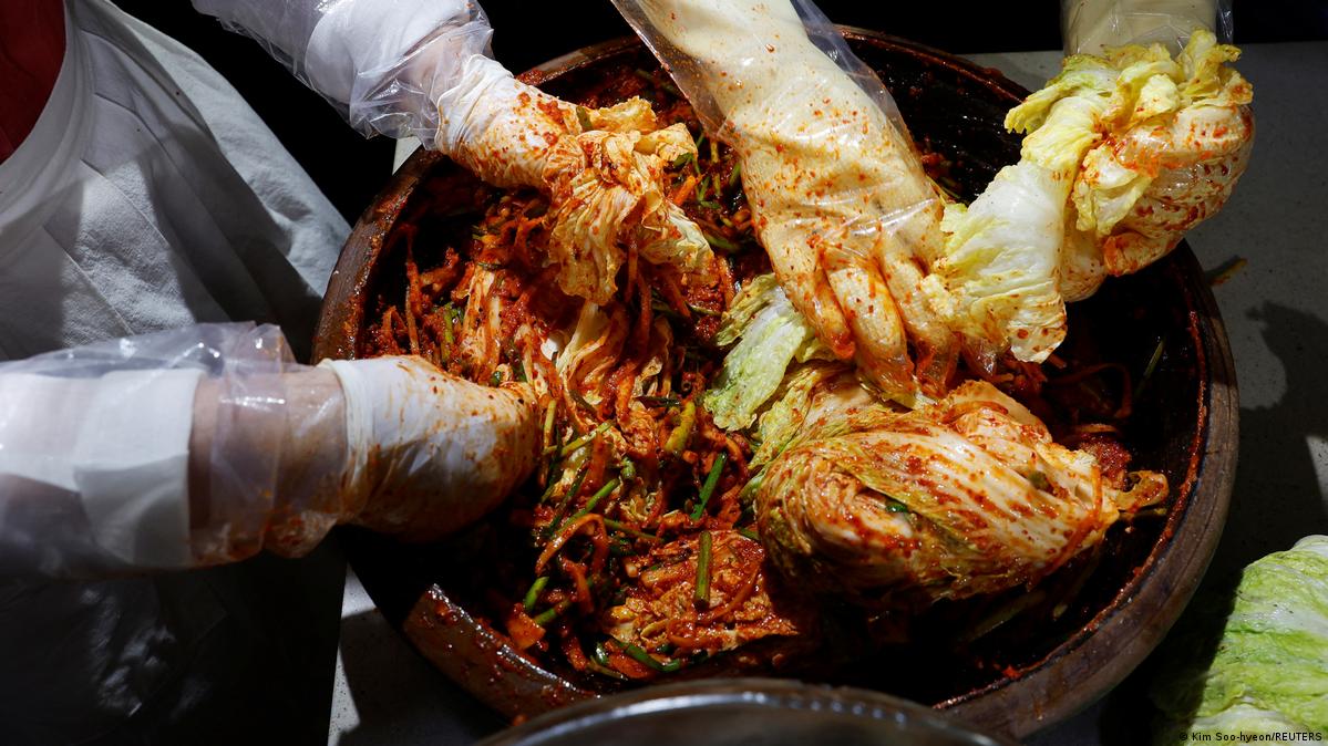 Krisis Iklim Berdampak pada Kubis, Selamat Tinggal Kimchi? – DW – 03.09 ...