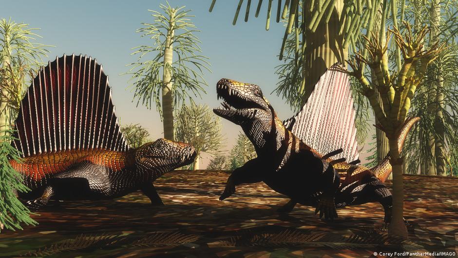 Mega El Niño levou à maior extinção em massa da história – DW – 15/09/2024