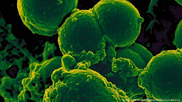 8 most dangerous antibiotic-resistant bacteria in the world