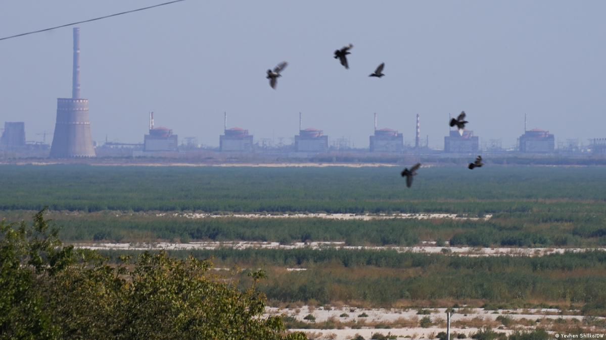 Ukraine: Nikopol residents talk of life on the front line – DW – 10/12/2024