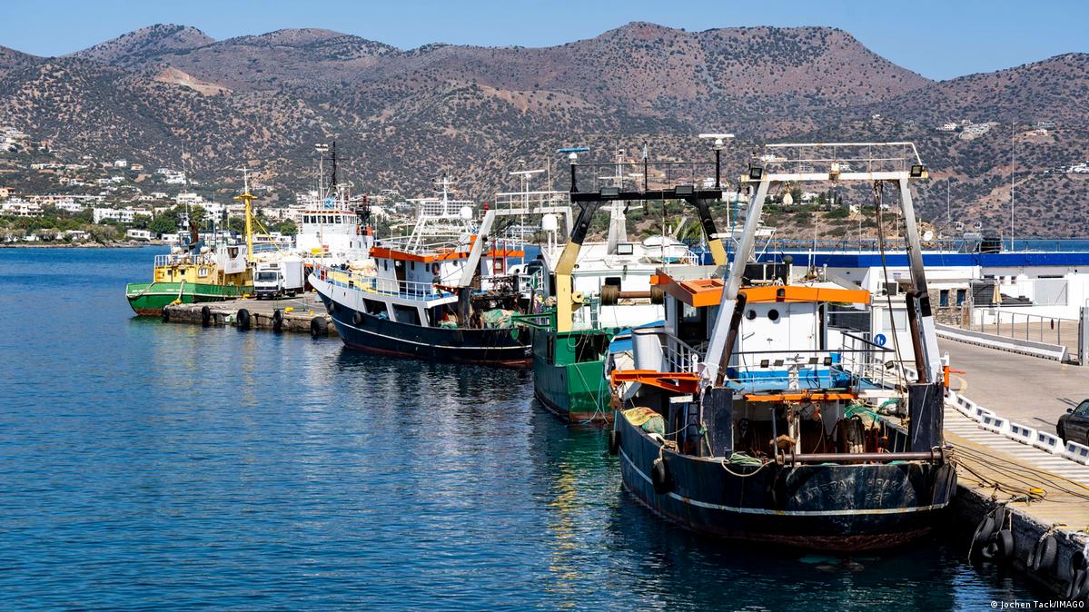 Ένα όνειρο ζει μια αμερικανική οικογένεια στην Ελλάδα – DW – 11/03/2025