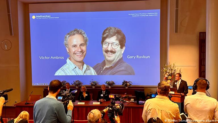 MicroRNA discoverers honored with Nobel Prize in medicine – DW – 12/10/2024