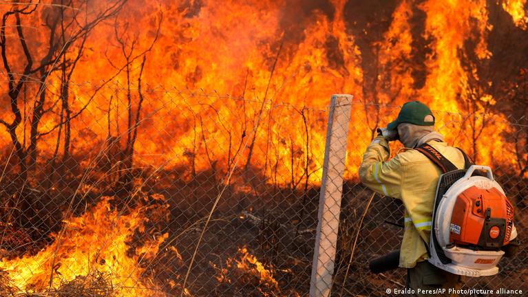 Brazil faces worst fires in 14 years