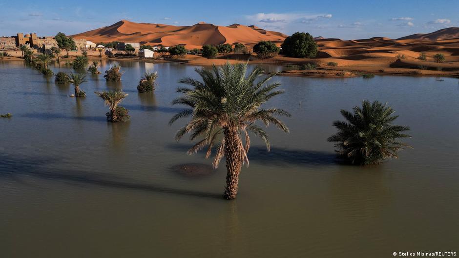 Heftige Regenfälle: Seen in der Sahara – DW – 29.10.2024