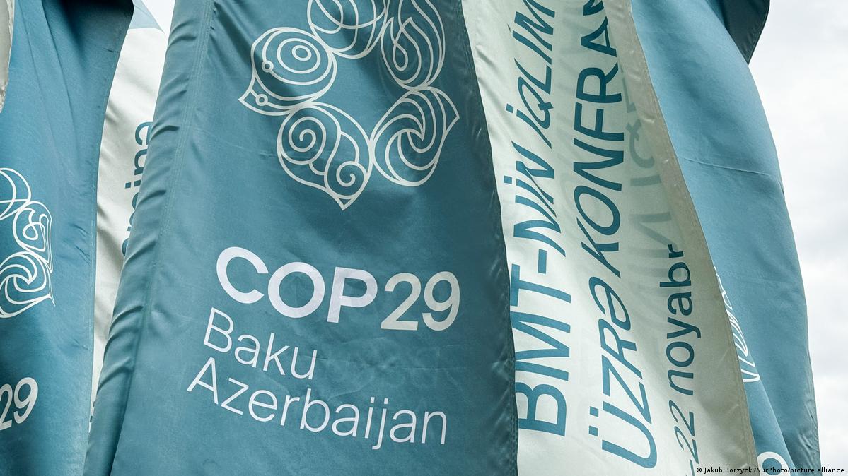 COP29