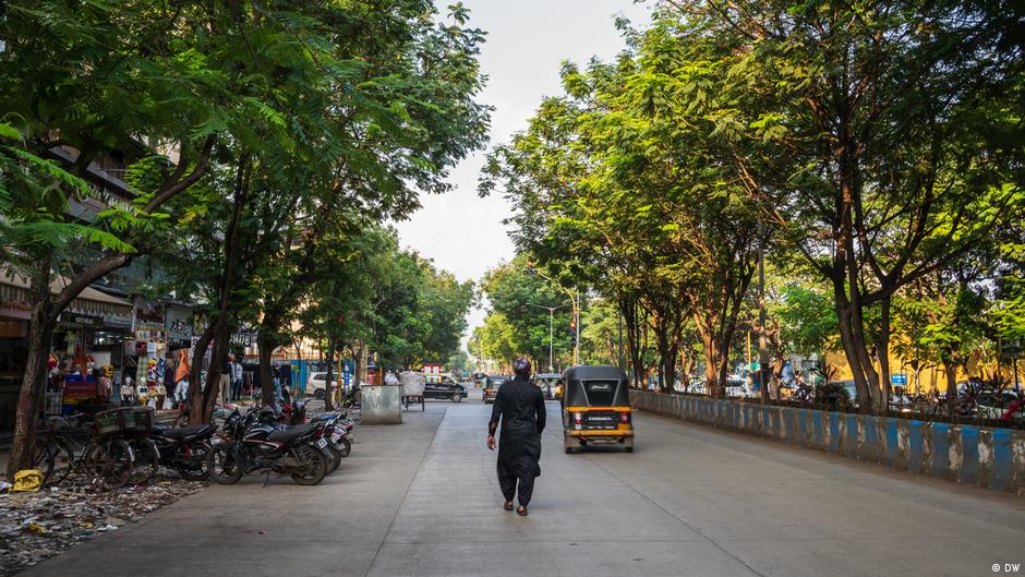 Analysis reveals stark differences in tree coverage across major Asian ...