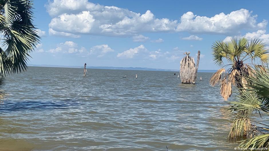 Kina cha maji katika Ziwa Turkana kimeongezeka – DW – 07.11.2024