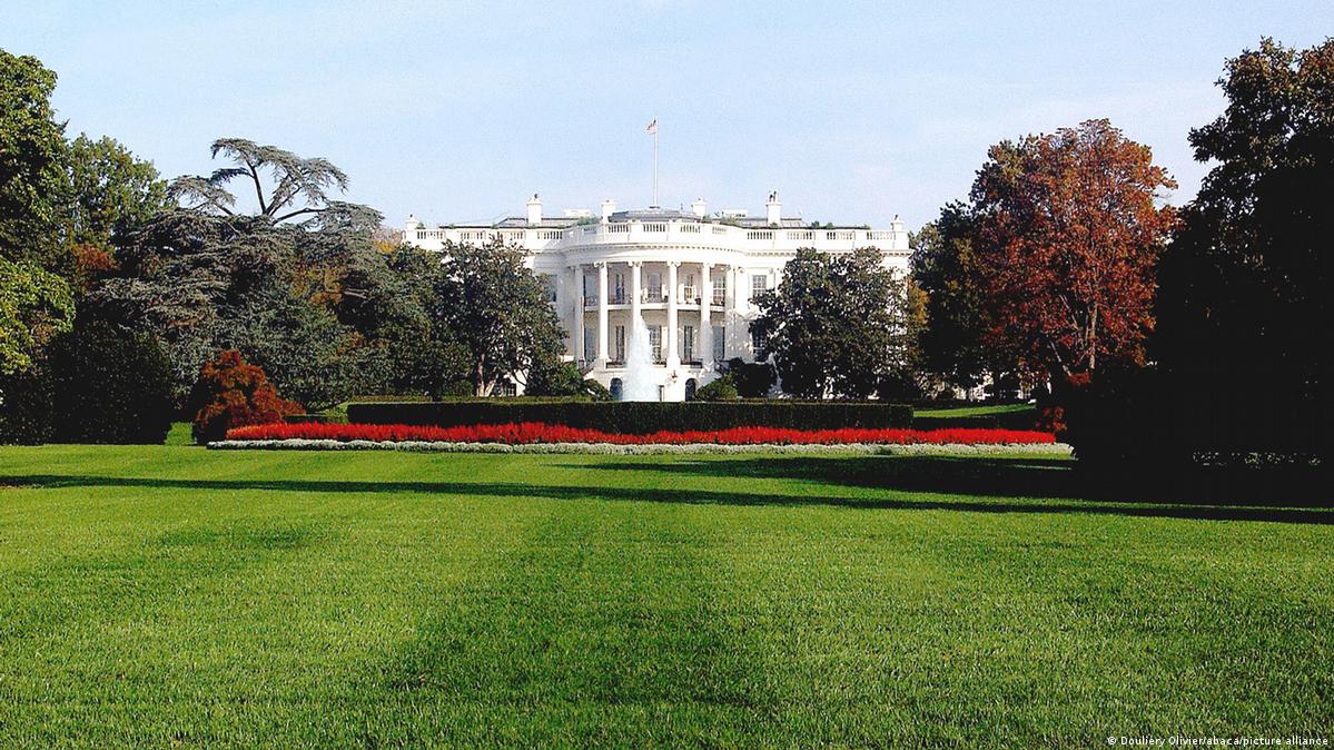 The power of the perfect lawn – DW – 11/18/2024