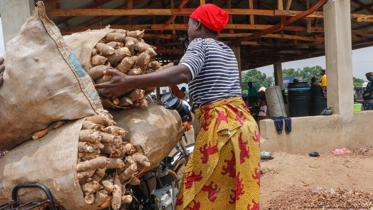 Nigeria acquires $134 million loan for farming investment – DW – 11/14/2024