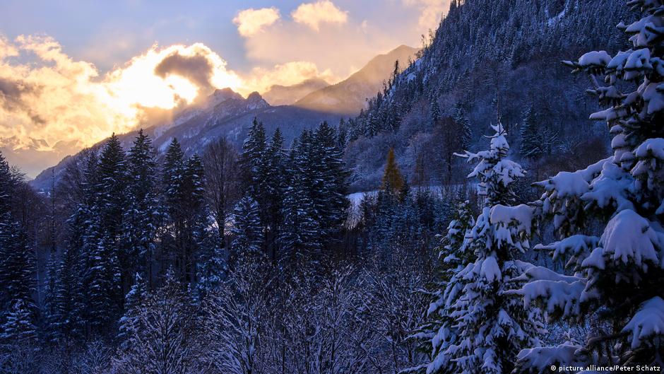 With first snows, winter arrives in Germany – DW – 11/23/2024