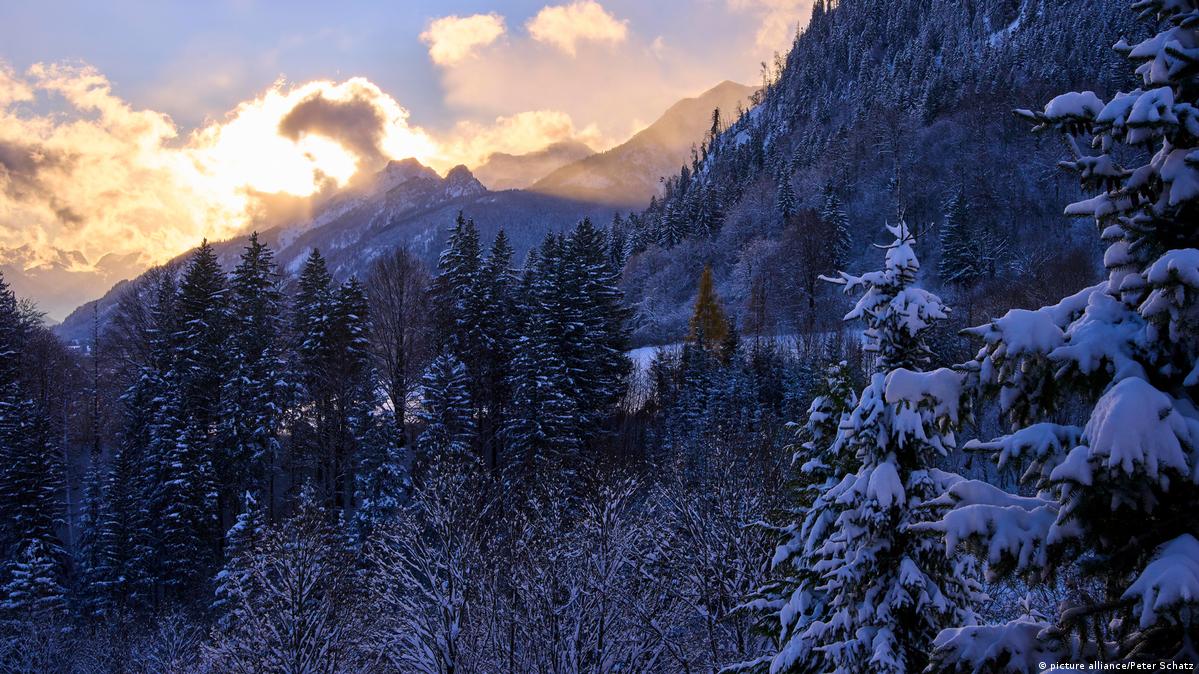 With first snows, winter arrives in Germany – DW – 11/23/2024