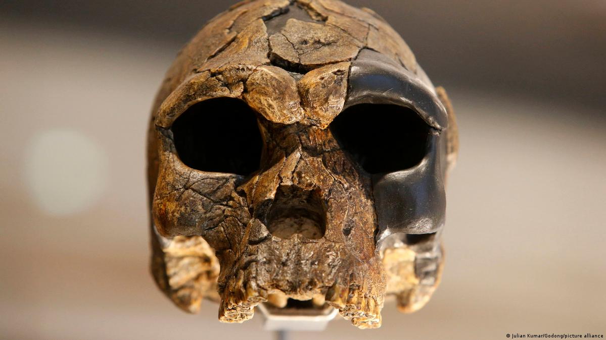 "Homo juluensis": identifican posible nueva especie humana – DW – 02/12 ...