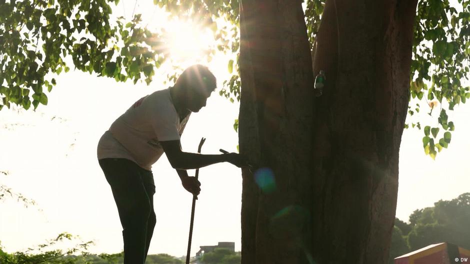 The cop who saves trees from hammered-in ads – DW – 12/12/2024