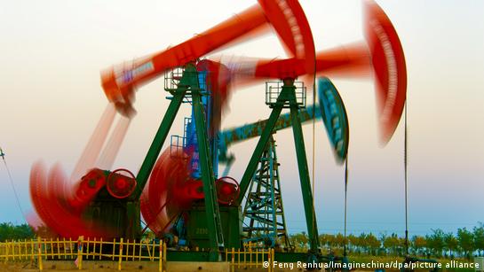 How a Chinese firm ran a billion-euro carbon credit scam – DW – 12/11/2024